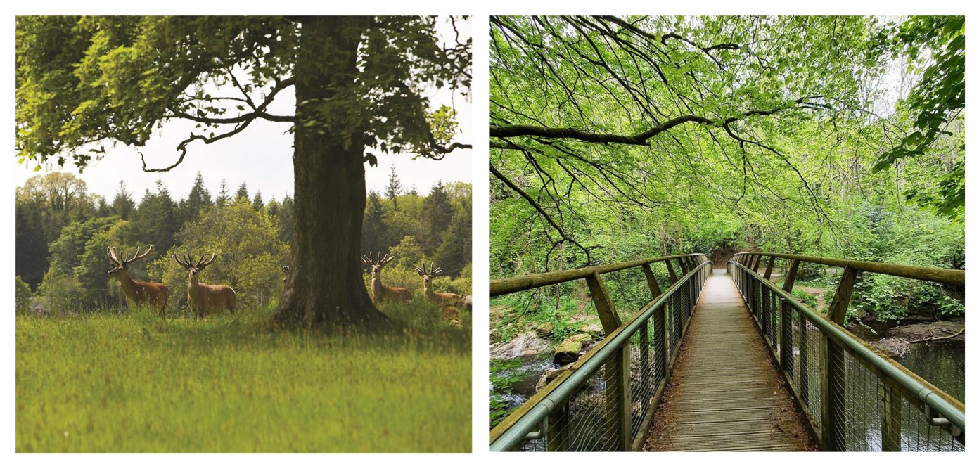 More time to enjoy Gosford and Clare Glen with extended opening hours ...