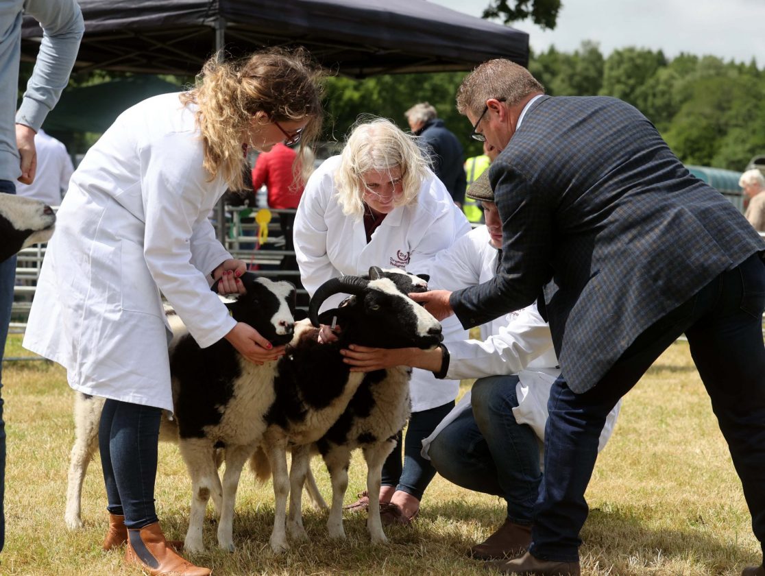 A Show Stopping Display from Local Agri Sector at 175th Armagh County ...