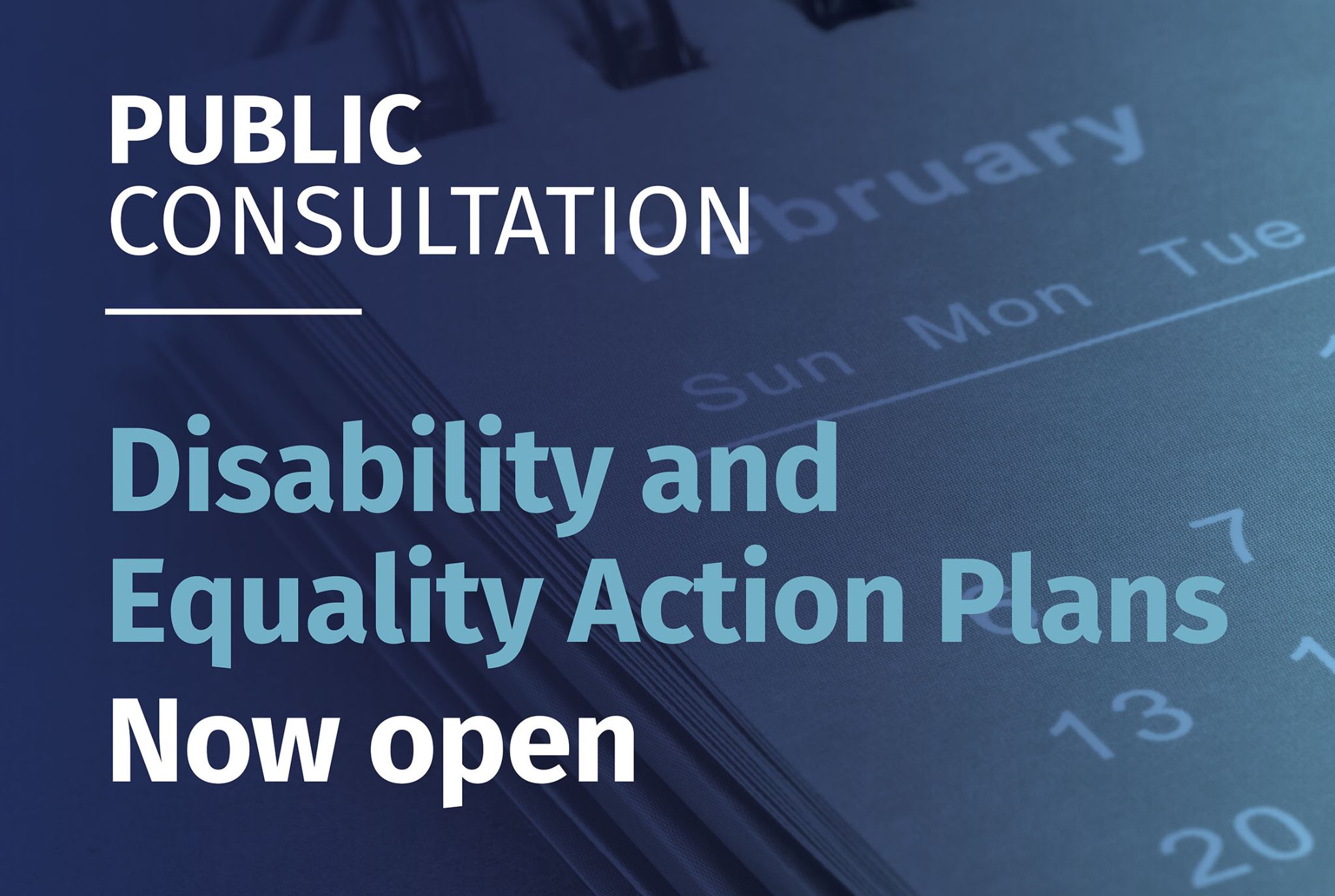 Public Consultations open for Councils Disability and Equality Action ...