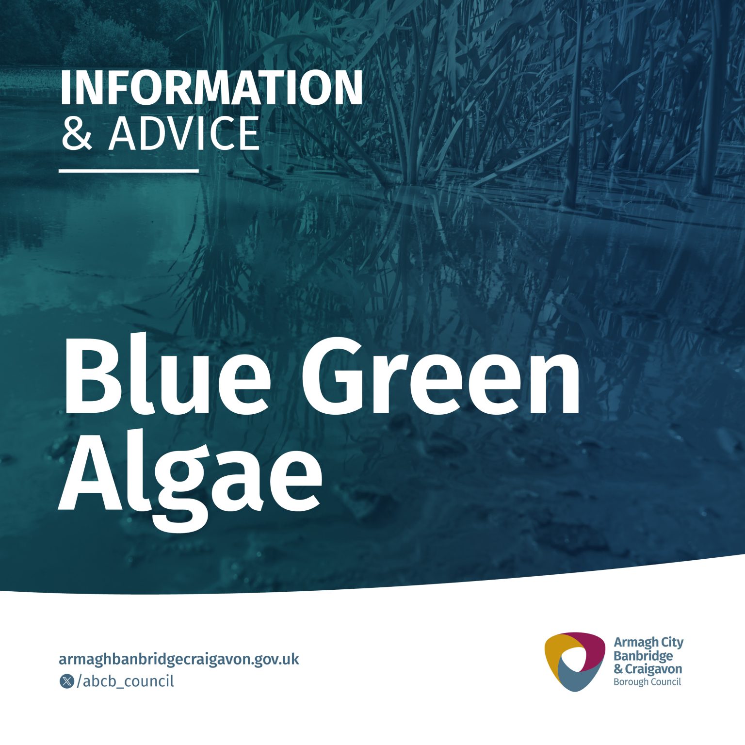 Public advisory on Blue Green Algae | Armagh City, Banbridge and ...