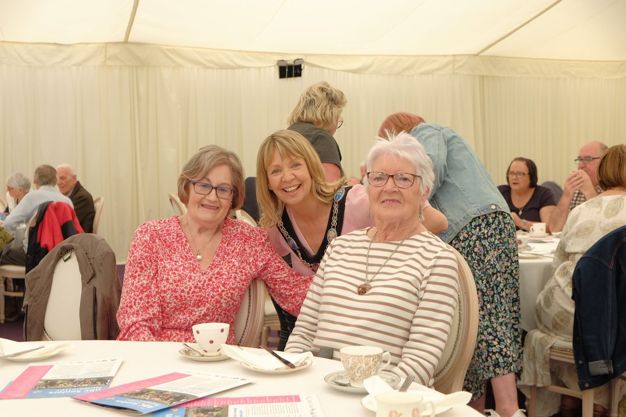 Age Friendly Afternoon Tea Dance hosted by outgoing Lord Mayor | Armagh ...