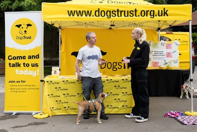 All paws lead to Lurgan Park for Dogs Trust pop-up event - Armagh City ...