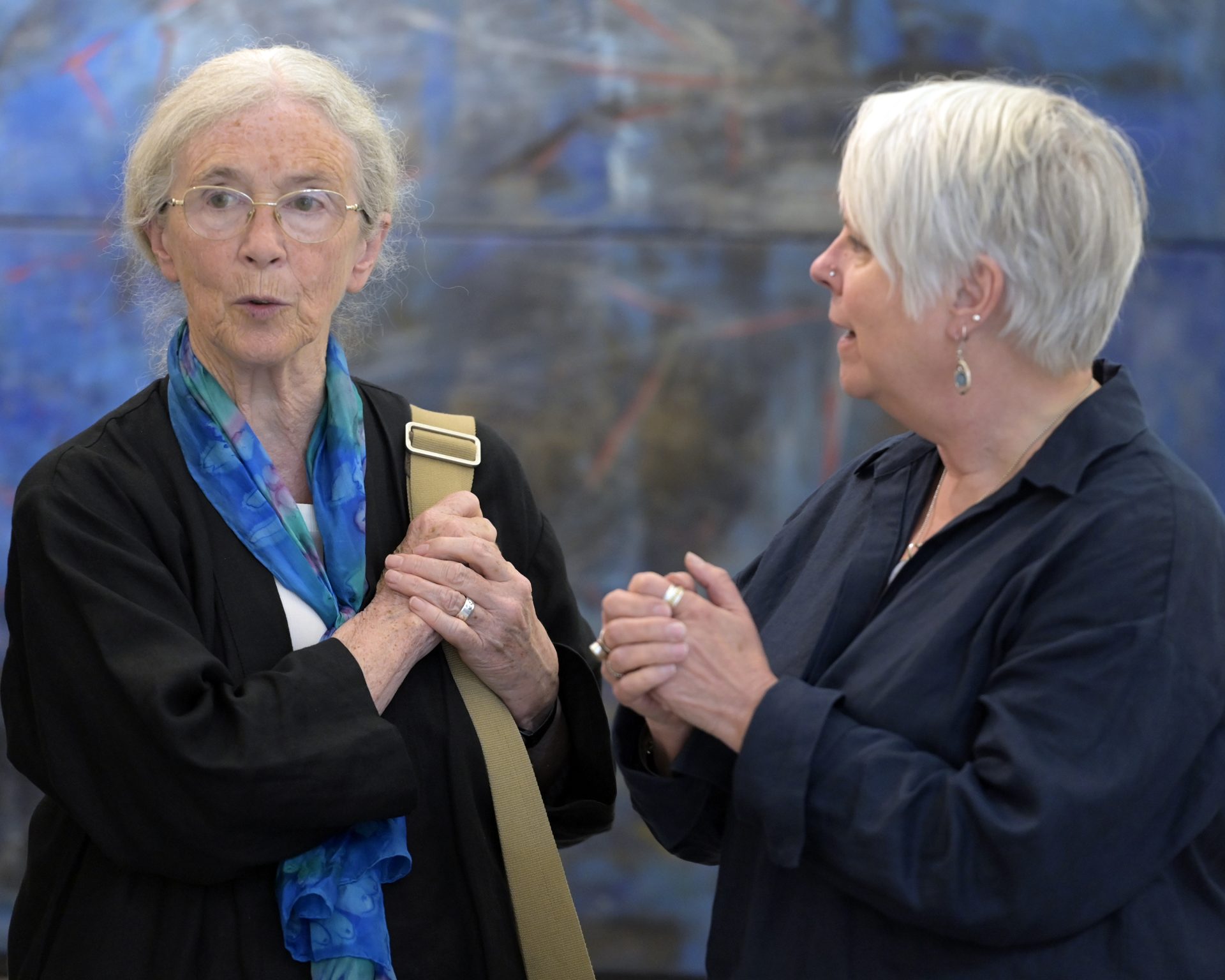 'Barbara Freeman: A Retrospective' opens at the F.E. McWilliam Gallery ...