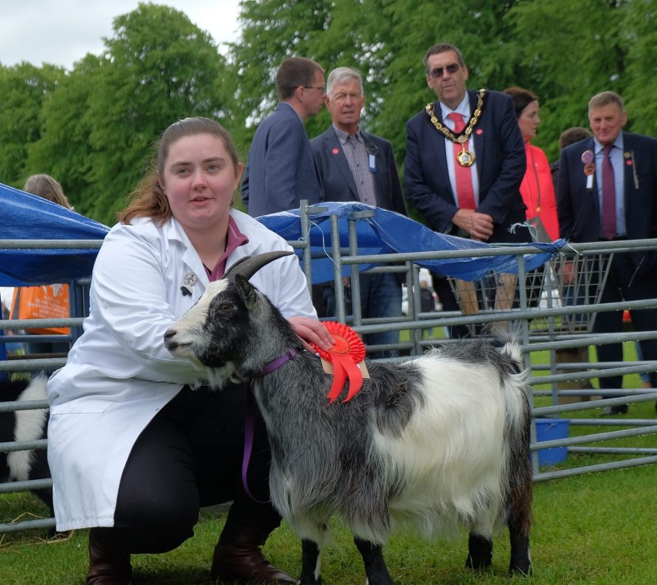 Lurgan Show serves up a celebration of local food and farming | Armagh ...