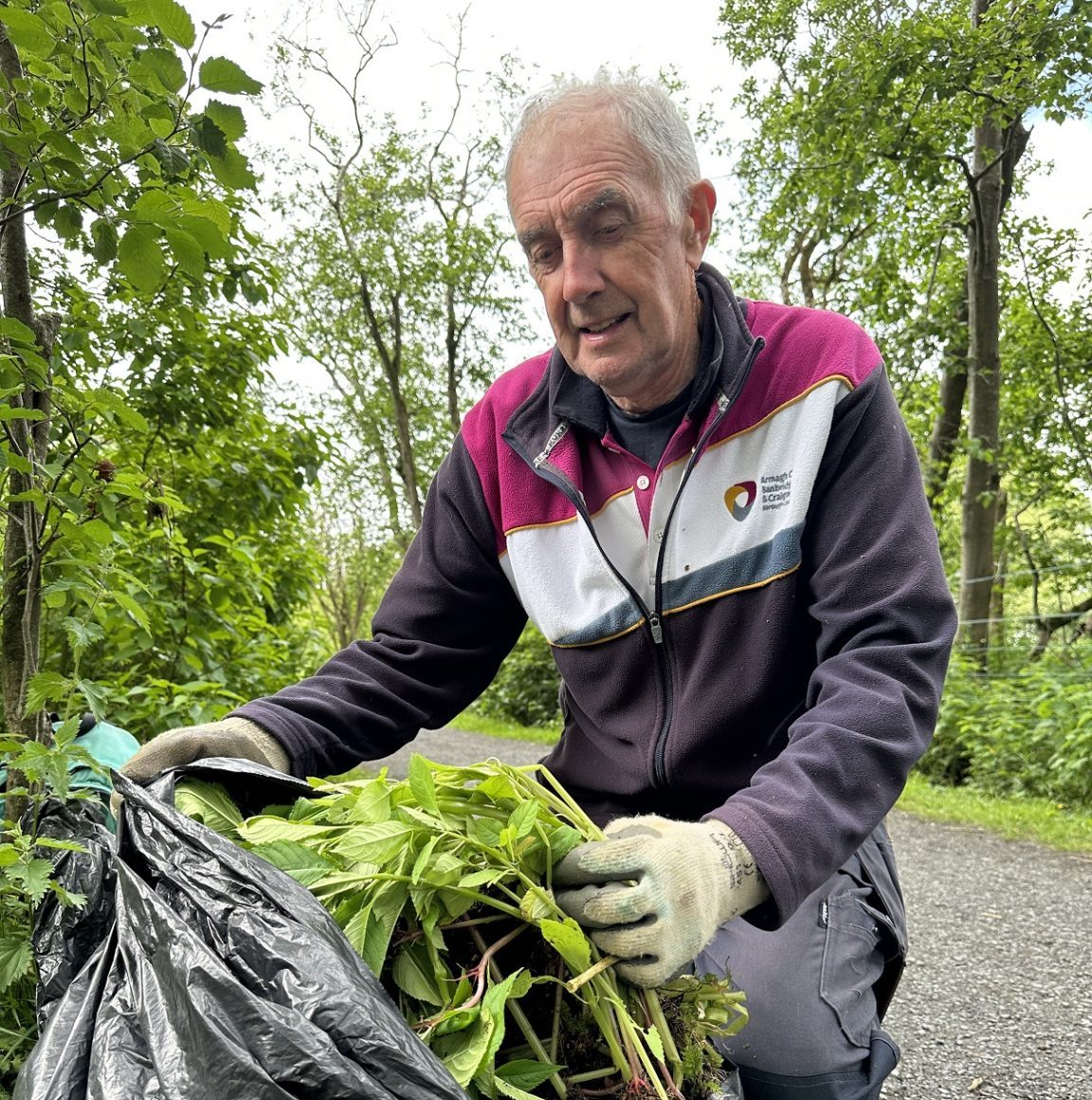 Invasive species takes a bashing at Oxford Island - Armagh City ...