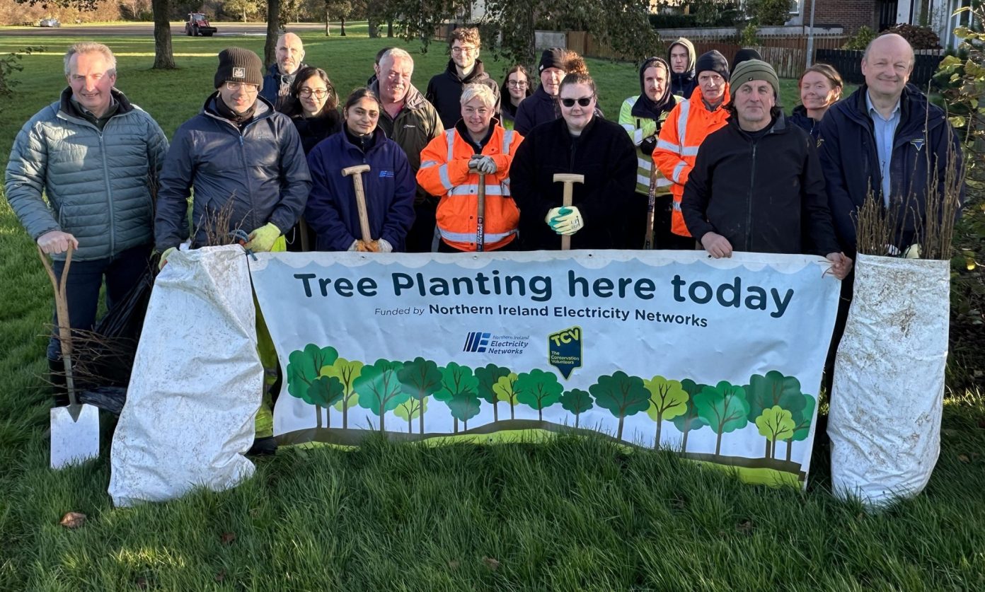 Woodland in Portadown expands with 600 new trees planted | Armagh City ...